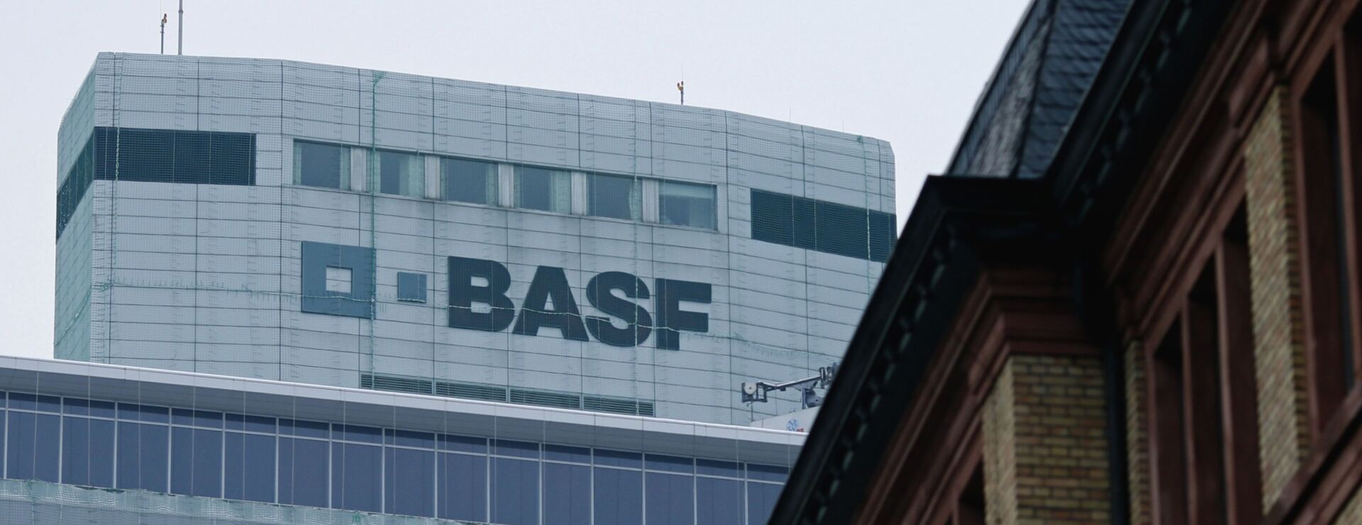 Fired BASF Corp. HR Worker Who Reported Bigoted Manager Can Sue